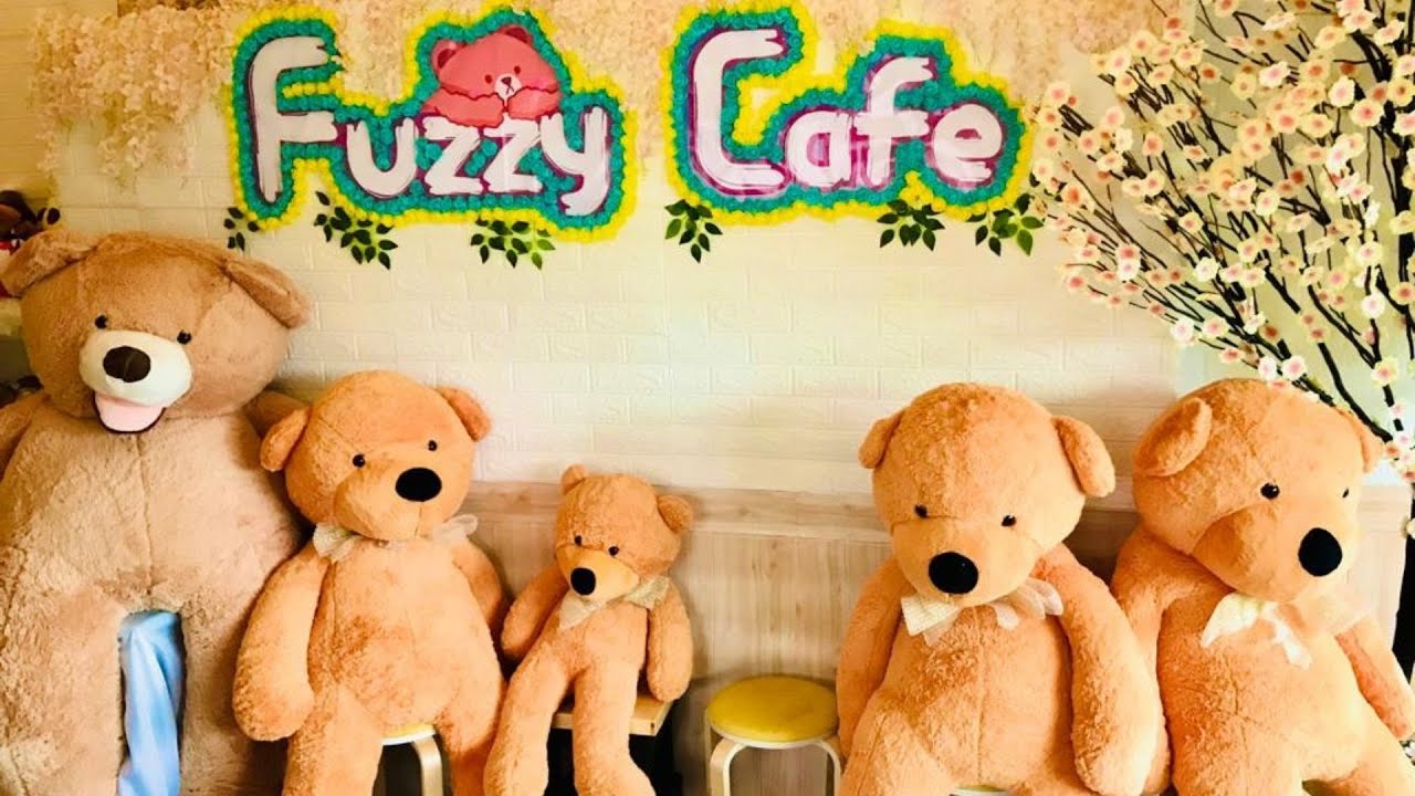 FUZZY CAFE - Where to Eat in La Trinidad - YouTube