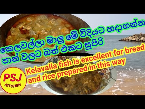 කෙලවල්ලා මාලු මේ විදියට හදාගන්න(Prepare the kelawalla fish like this ...
