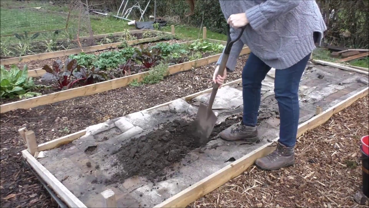 Jane's Allotment January 6th 2019 - YouTube