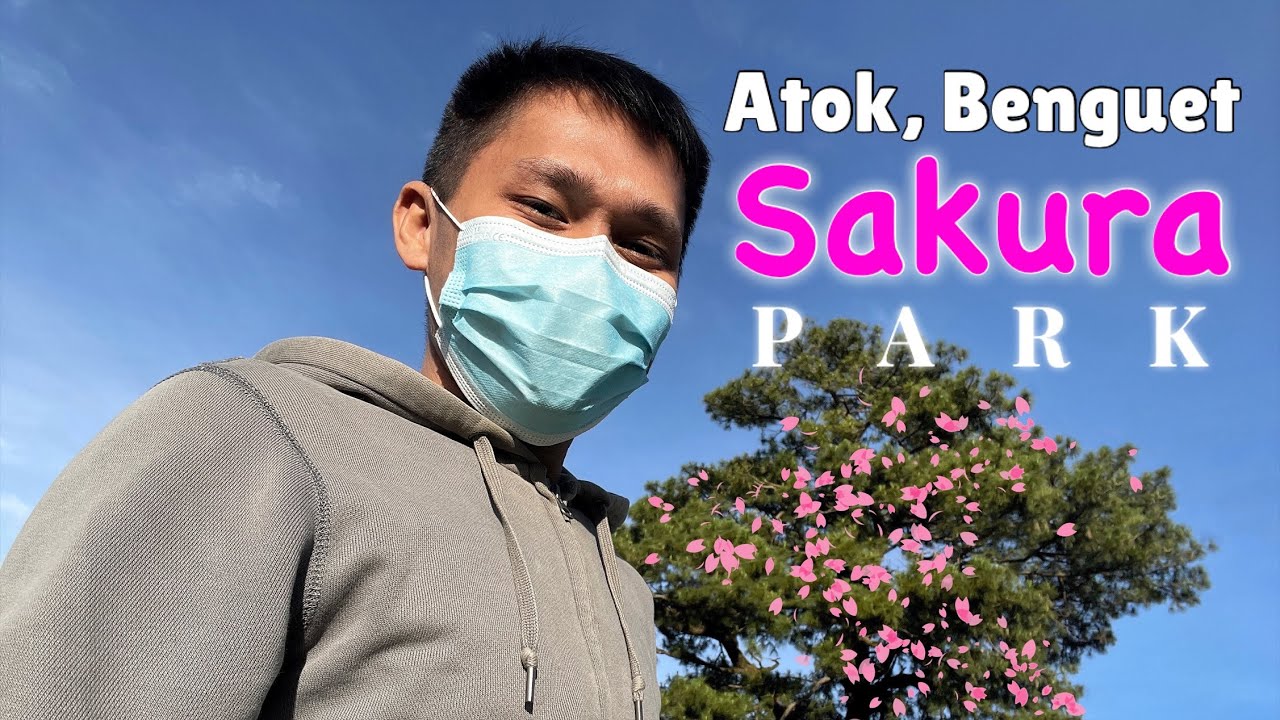 Sakura Park | Atok, Benguet | Andap - YouTube