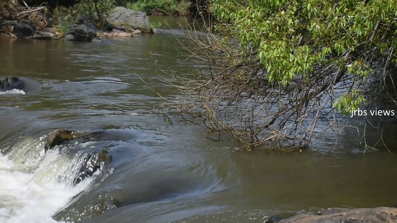 moyar river near thengumarada!!! jrbs views - YouTube
