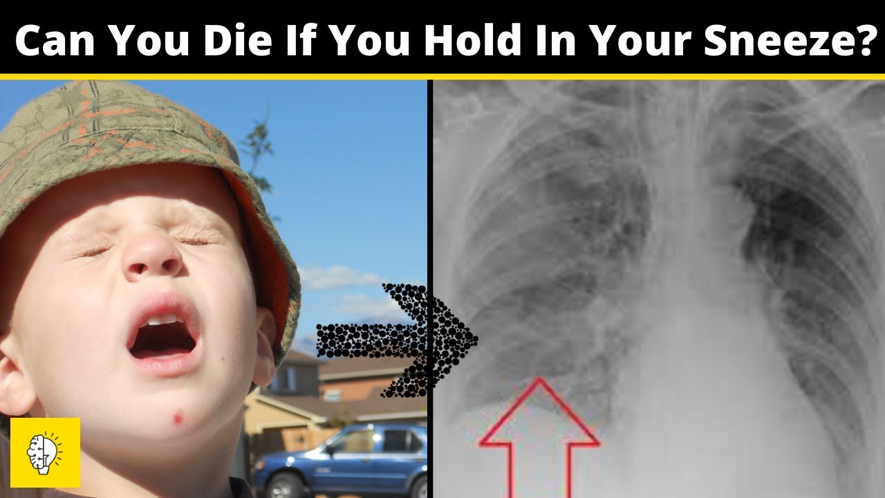 9 Amazing Facts About Sneezing | Sneezing Facts - YouTube