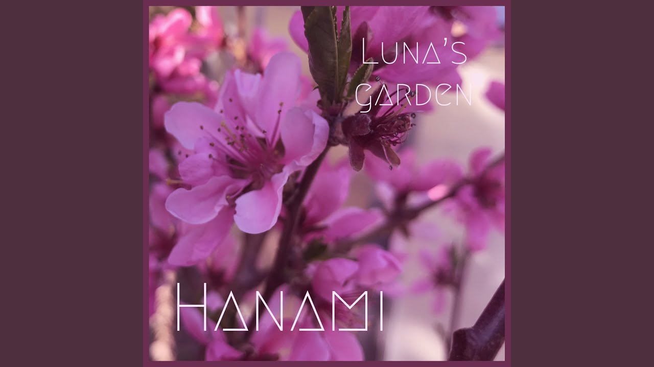 Hanami - YouTube Music