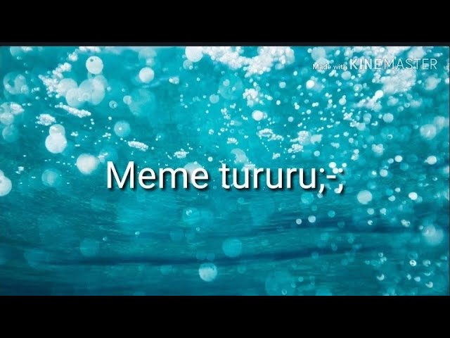 Memes Tururu