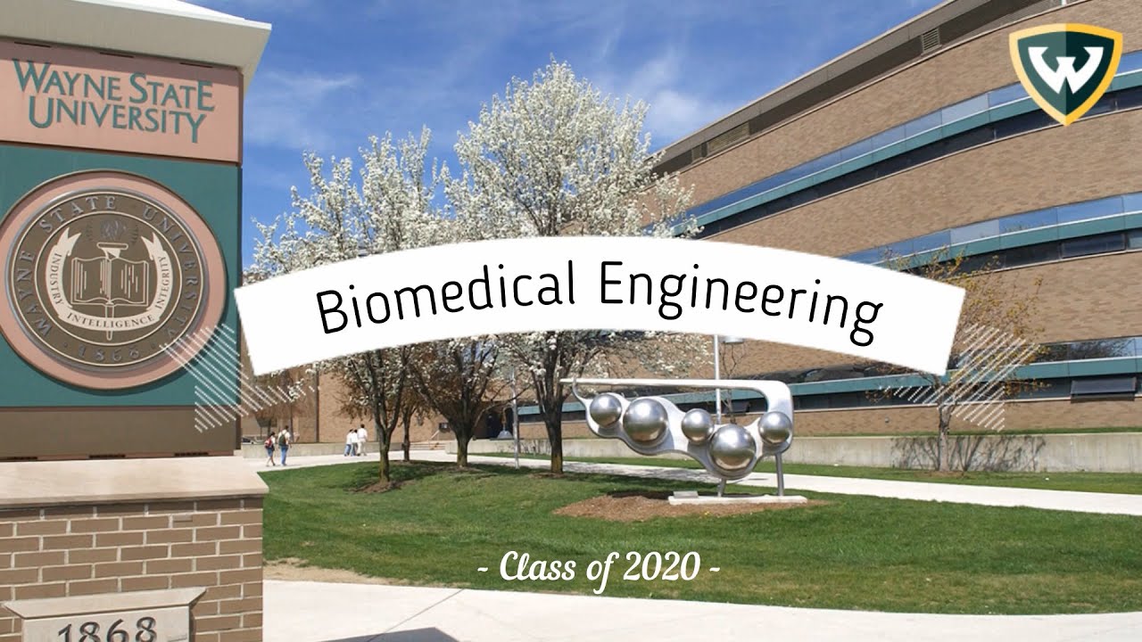 Wayne State University Engineering