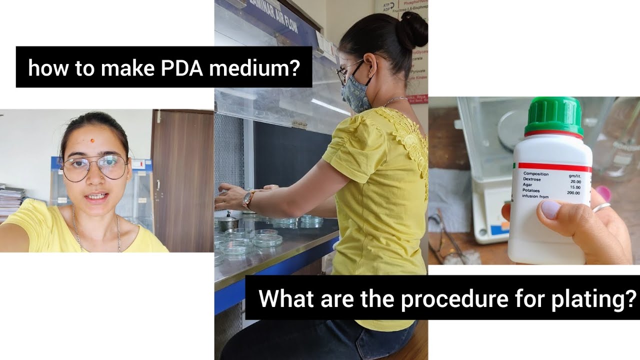 How to prepare PDA medium for fungal culture - YouTube