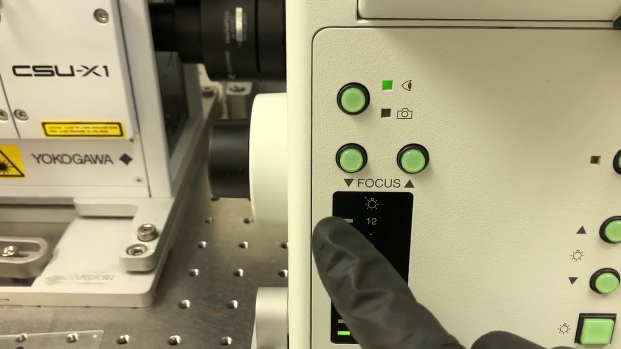 12 Manual microscope controls - Buttons on the front of the microscope ...