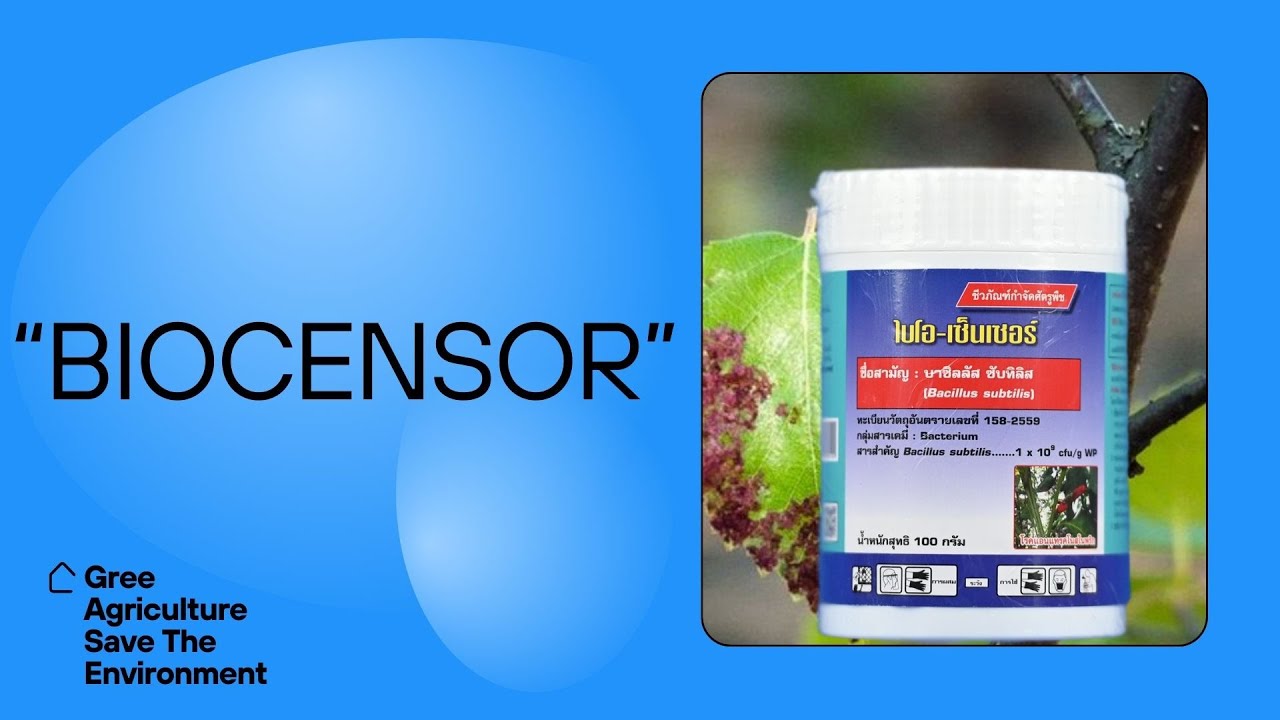 BIOCENSOR | ไทยกรีนอะโกร #เกษตรปลอดภัยใส่ใจสิ่งแวดล้อม - YouTube