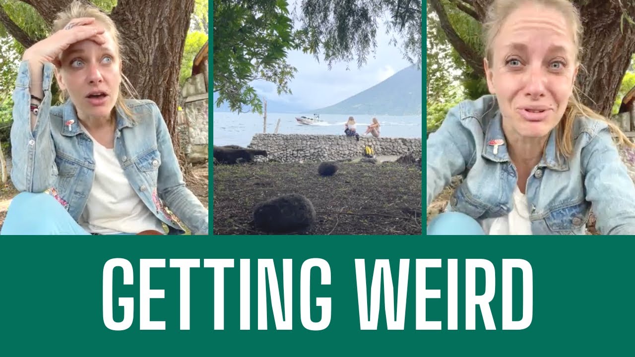 Things are about to get weird 🤪 - YouTube