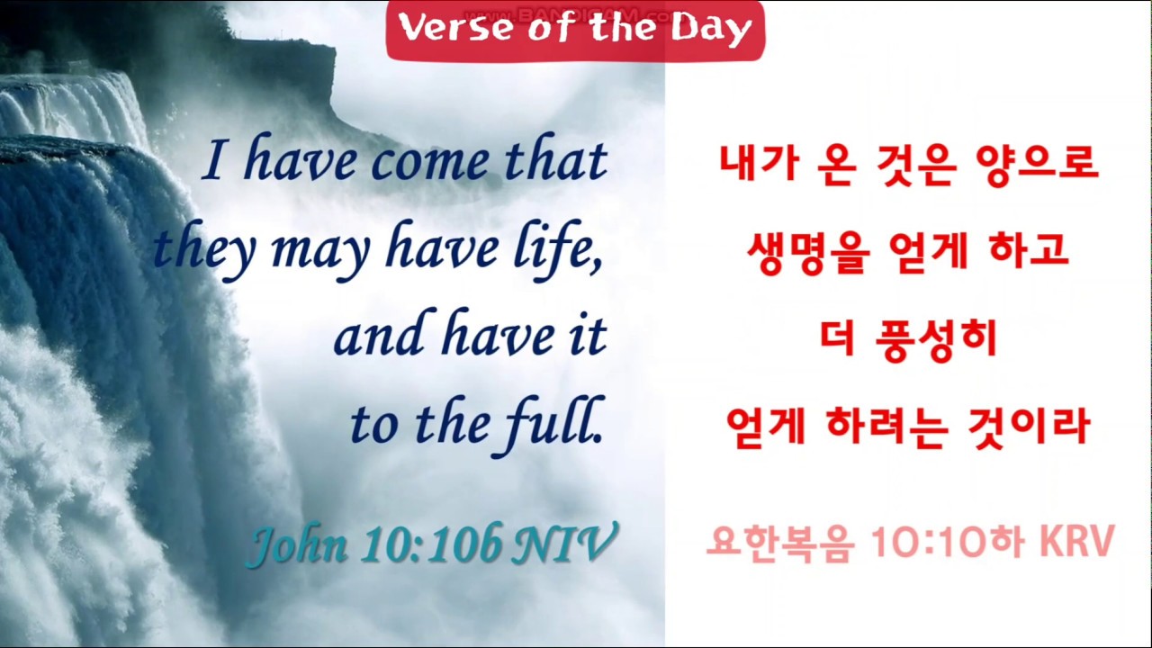 (BB말씀 0173) 내가 온 것은 양으로 생명을 얻게 하고 더 풍성히 - John 10:10b, 요한복음 10:10하 - 영어 ...