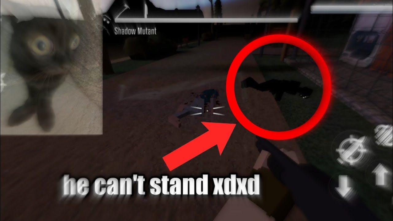 Gorebox Animosity - (9.0.0) - Shadow Mutant Bossfight Bug - YouTube