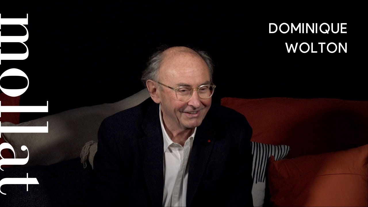 Dominique Wolton - Hermès, n° 88 - YouTube
