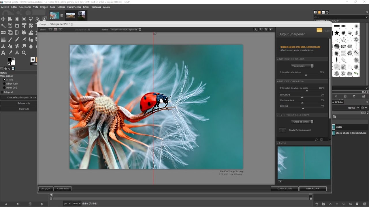 Como Instalar Nik Collection en GIMP - YouTube