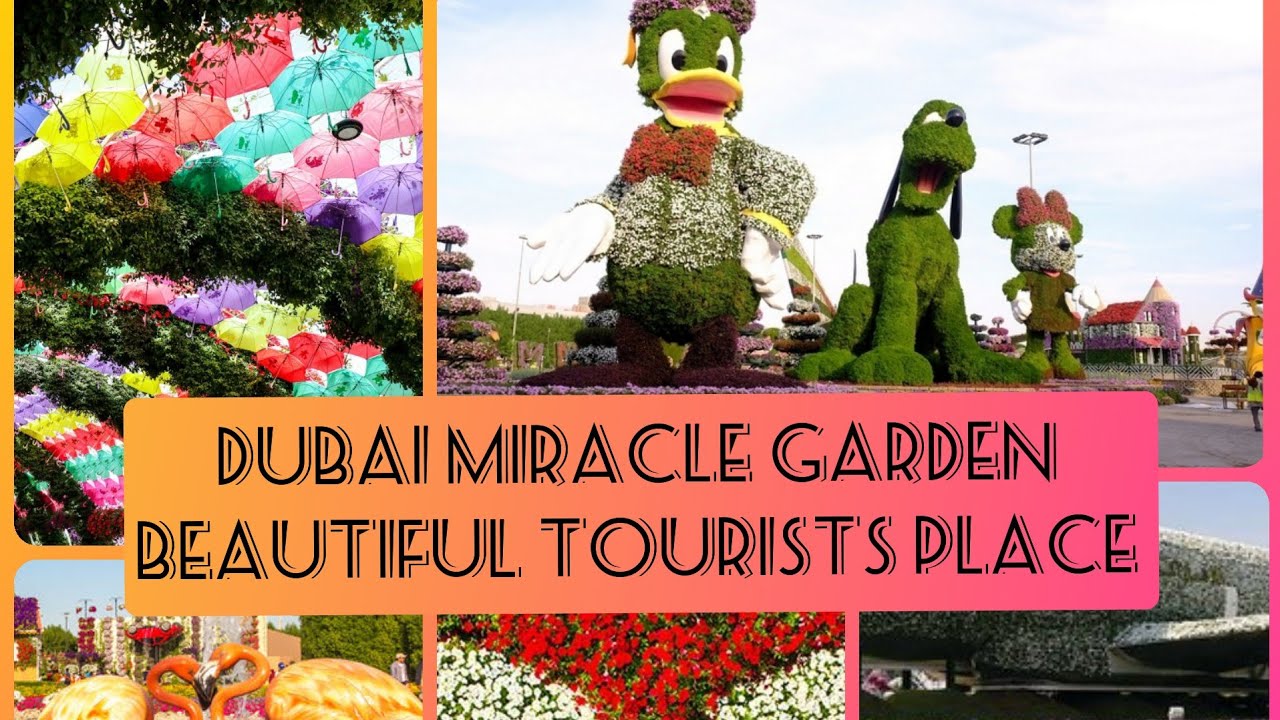 Dubai Miracle Garden - Best Tourists Place to visit in Dubai - Master ...
