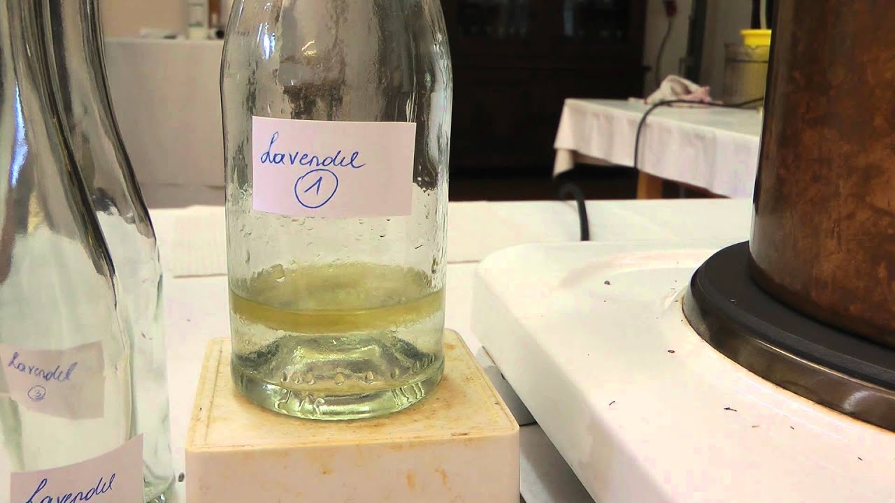 Essential oil distillation - home made steam distillation of lavender ...
