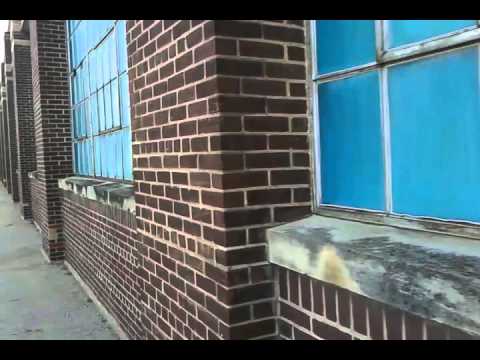 Zwall walk - YouTube