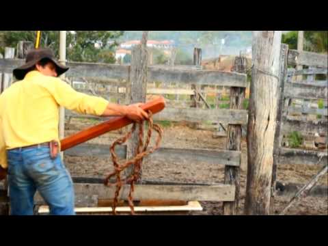 Berlim e Carlos Royce Com Participação de Tim Lello no Acordeom Canguçu ...