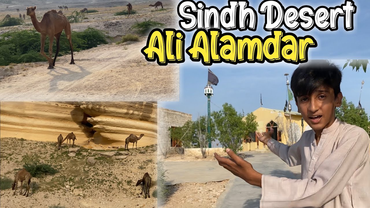 Sindh Desert🏜️_Ali Alamdar 2024_Desert Sindh ka_Sindhi Desert Ki Muft ...