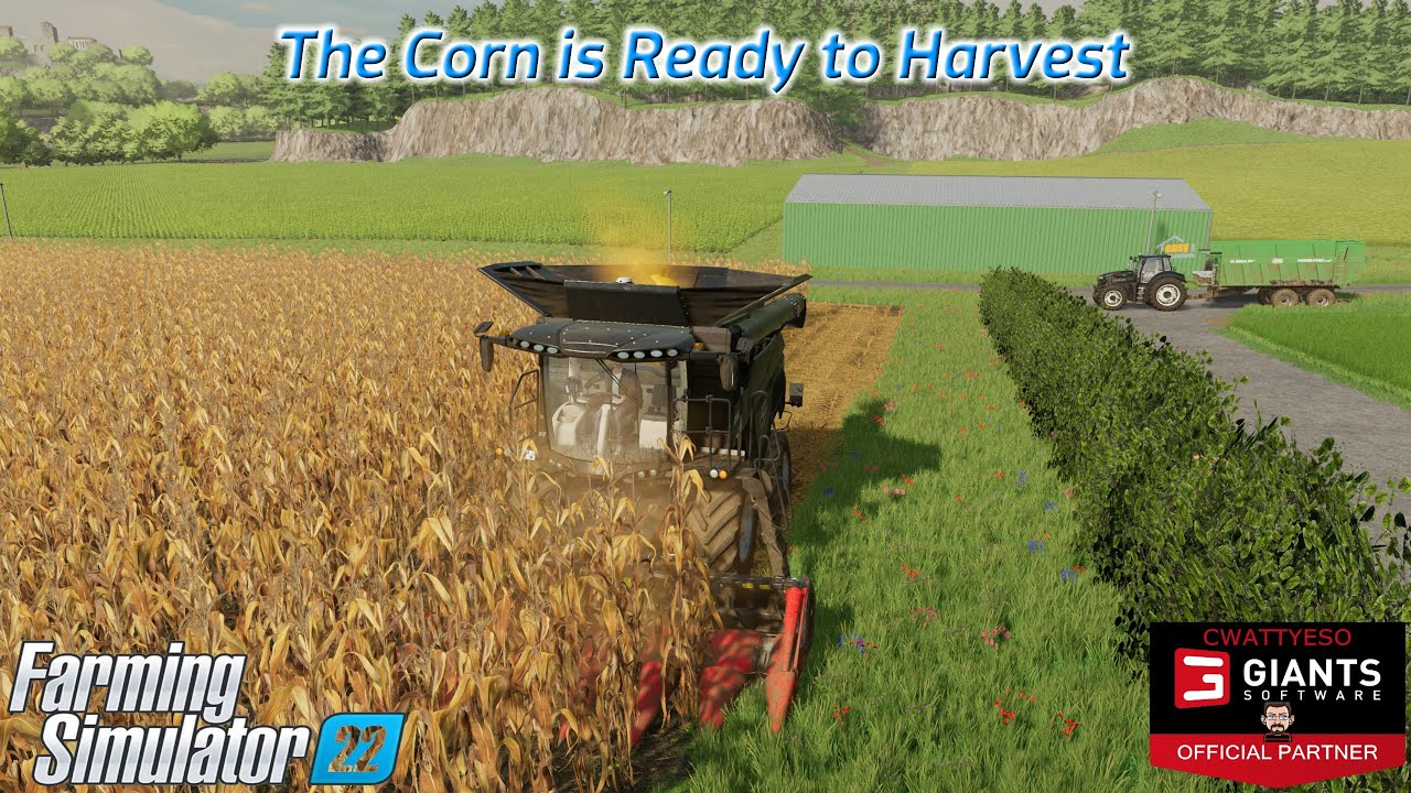 Ep 94 The Corn is Ready to Harvest | FS22 Riverview Farm | Farming ...