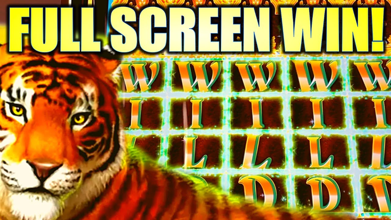 ★BIG WIN!★ FULL SCREEN WILDS! RARE TOP SCREEN HIT! 🐯 GOLDEN JUNGLE ...