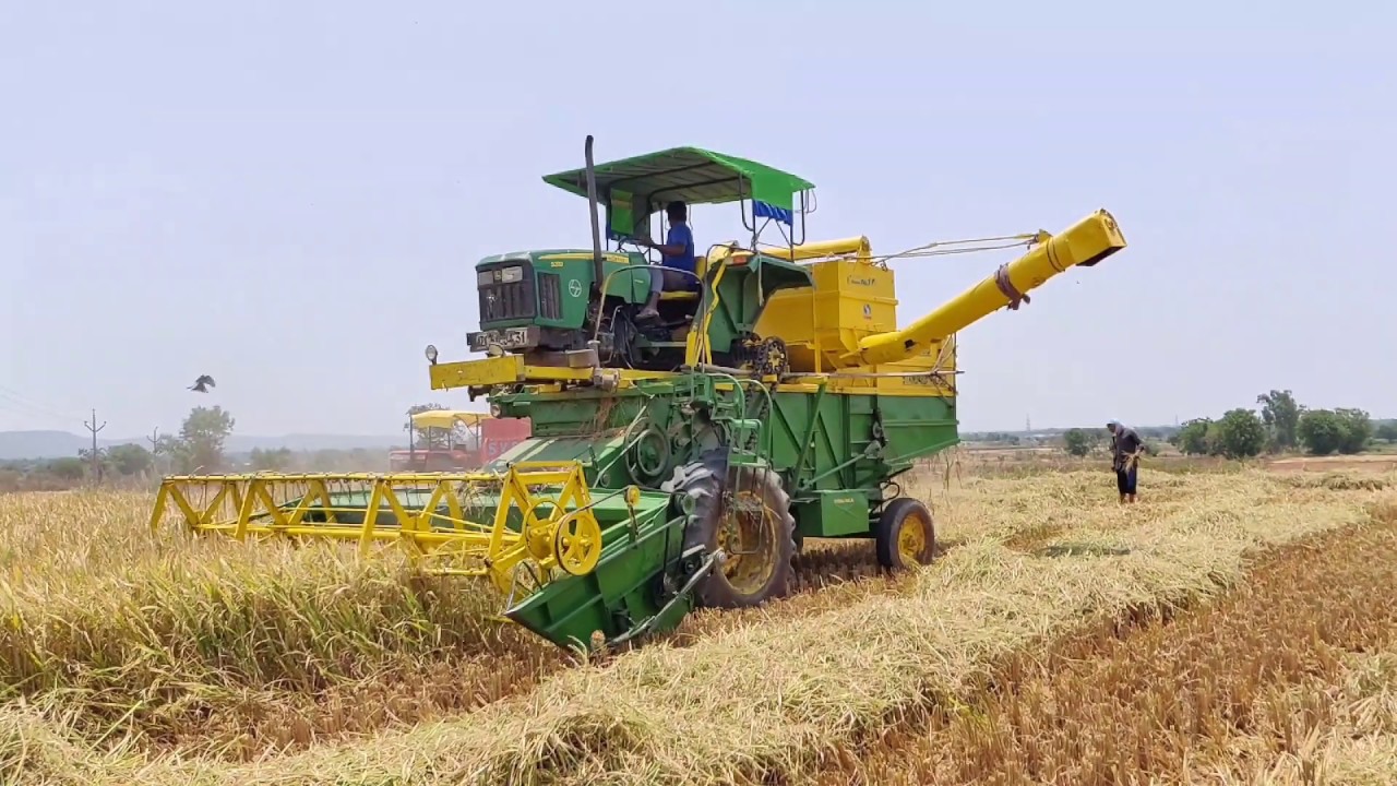 // harvester cutting // Rice 🌾//INDIAN FARMER - YouTube