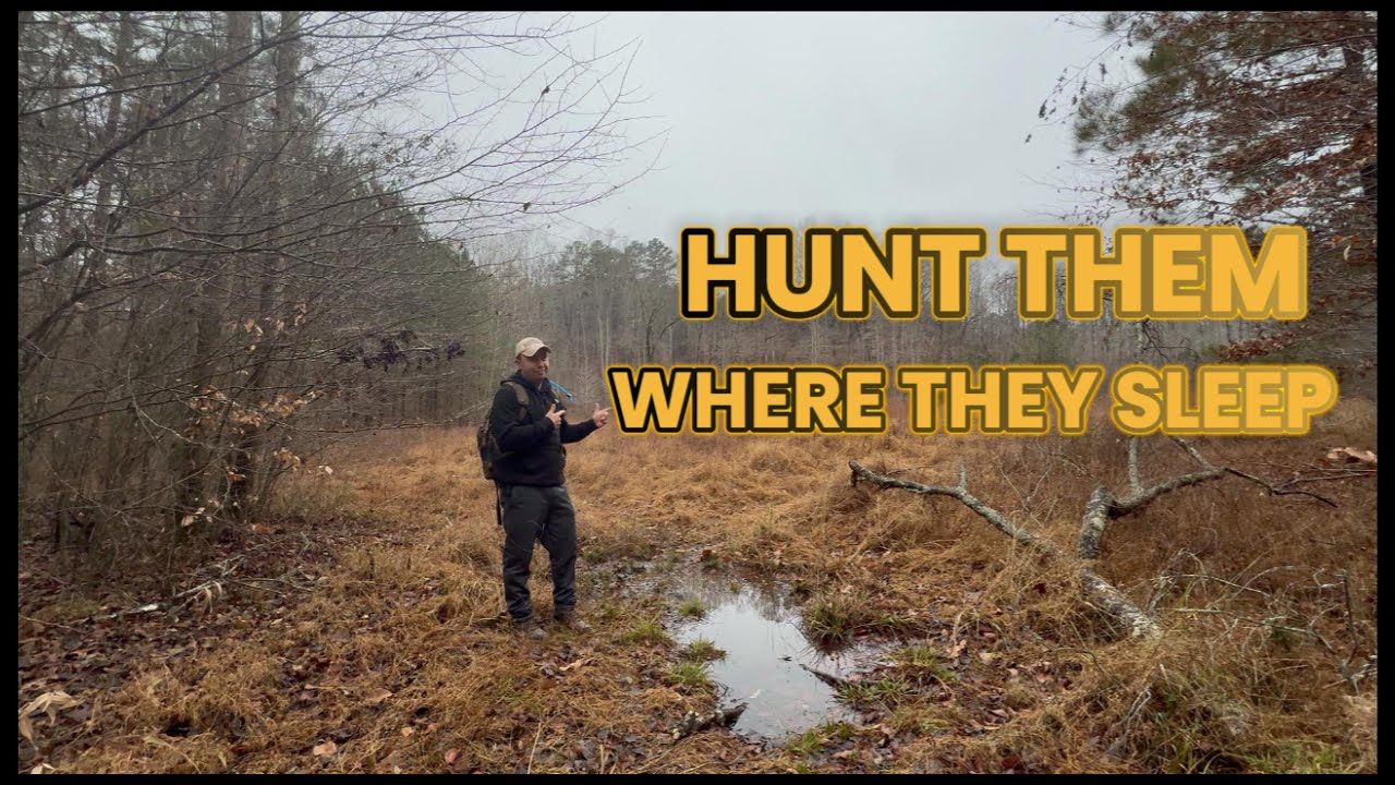 HUNT THEM WHERE THEY SLEEP - YouTube