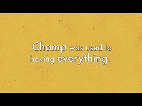 {The Potato Chip Champ Book Trailer} - YouTube