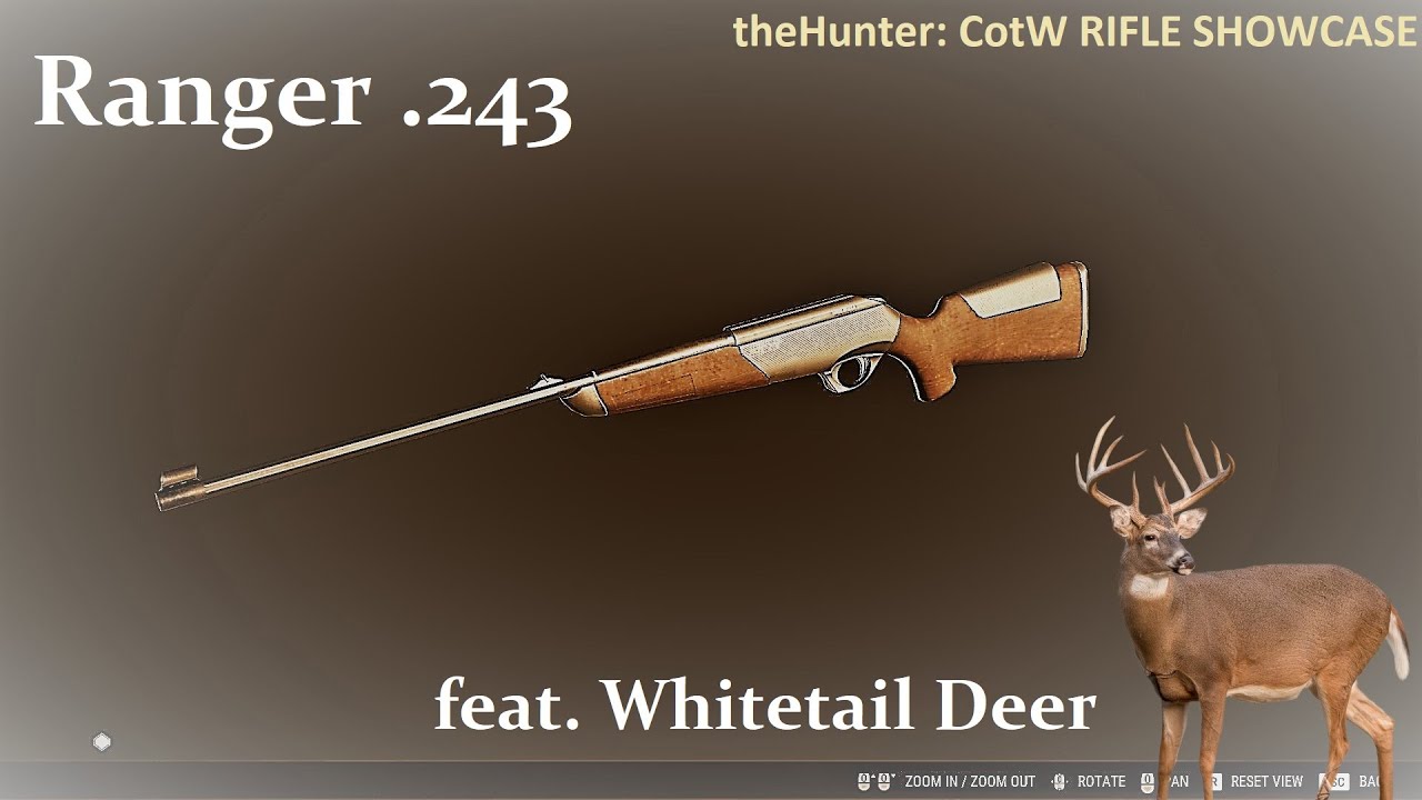 theHunter: Call of the Wild - Weapon showcase: Ranger .243 feat ...