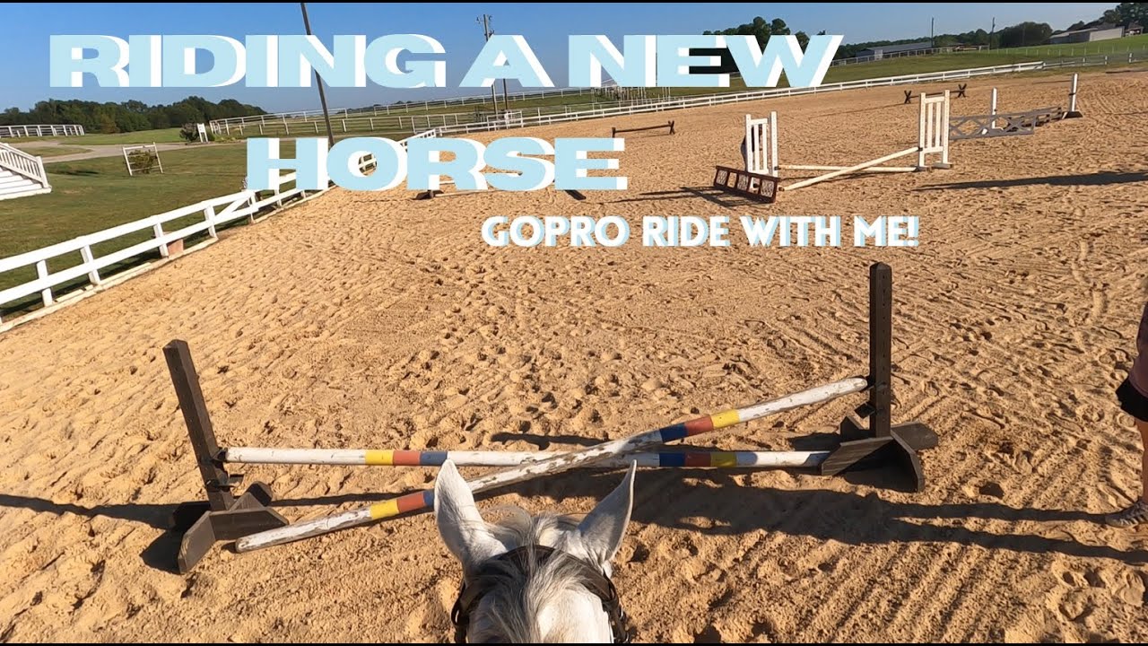 RIDING A NEW HORSE! GoPro Ride With Me! - YouTube