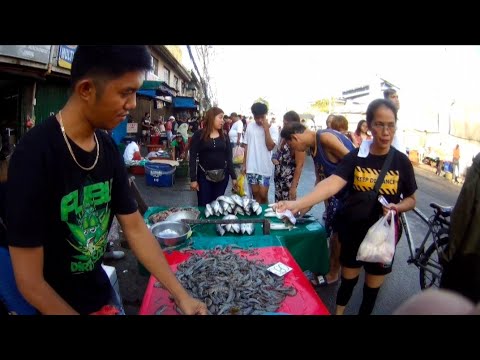 MALABON FISH MARKET | ISDA AT HIPON BIGLANG BABA ANG PRESYO! #malabon # ...