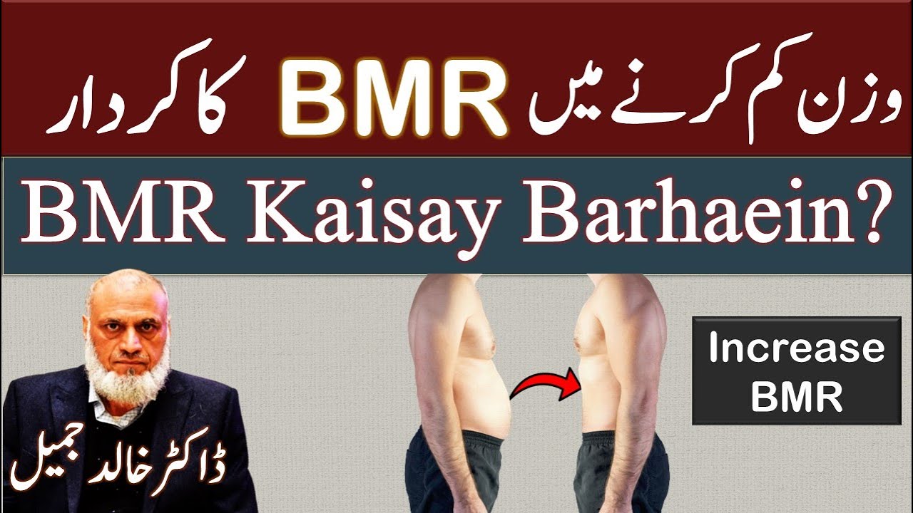 How to Increase BMR for Maximum Weight Loss | Lecture 208 - YouTube