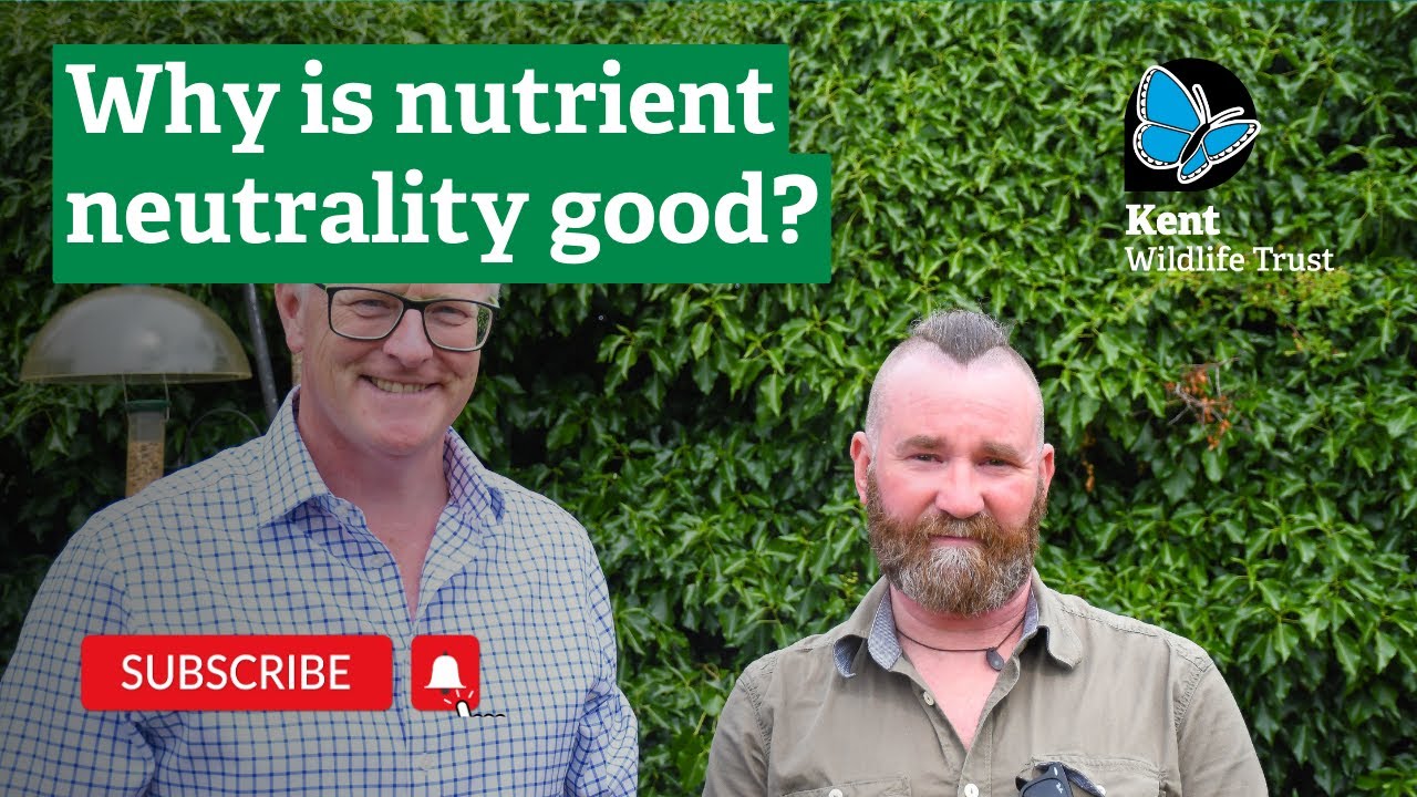 Talk on the Wild Side | Full Interview with Paul Hadaway - Nutrient Neutrality & The State of ...