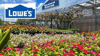 Lowes Garden Center Coleus Plants