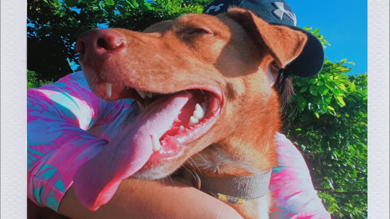 ASPIN (NYO-NYO) SWIMMING | PINOY DOGGO - YouTube