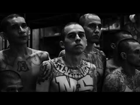 Borgata - Alo Brate Ko si Ti | Cecot | Revolver