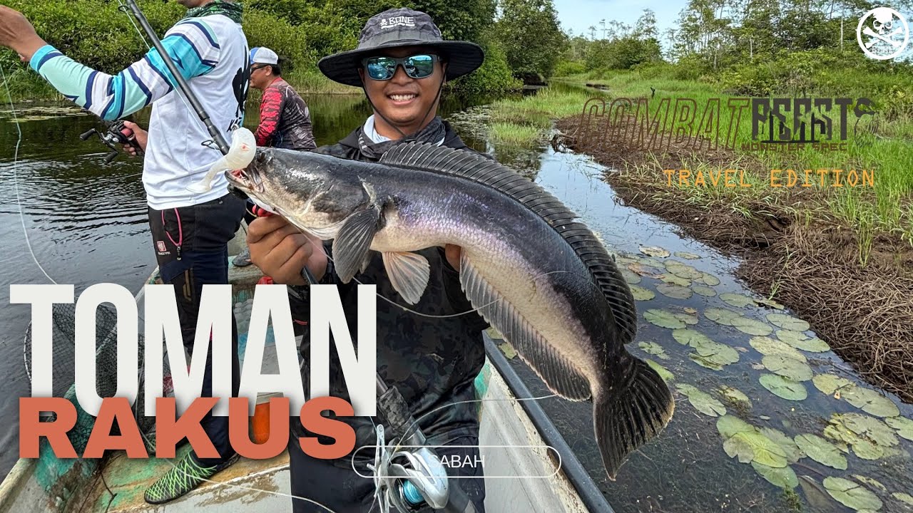 Giant Snakehead On Bone Combat Beast Travel Edition Rod - YouTube