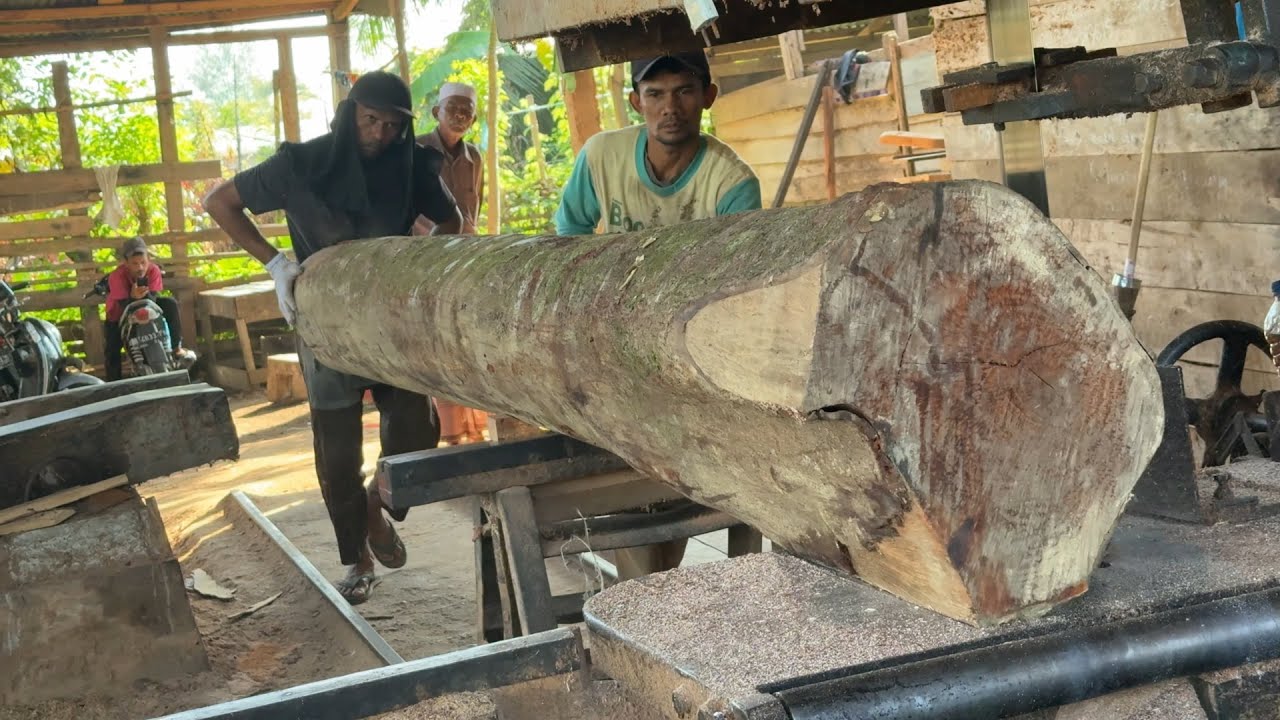 Your Craft Revolution Mastering Hardwood Sawing and Cutting! - YouTube