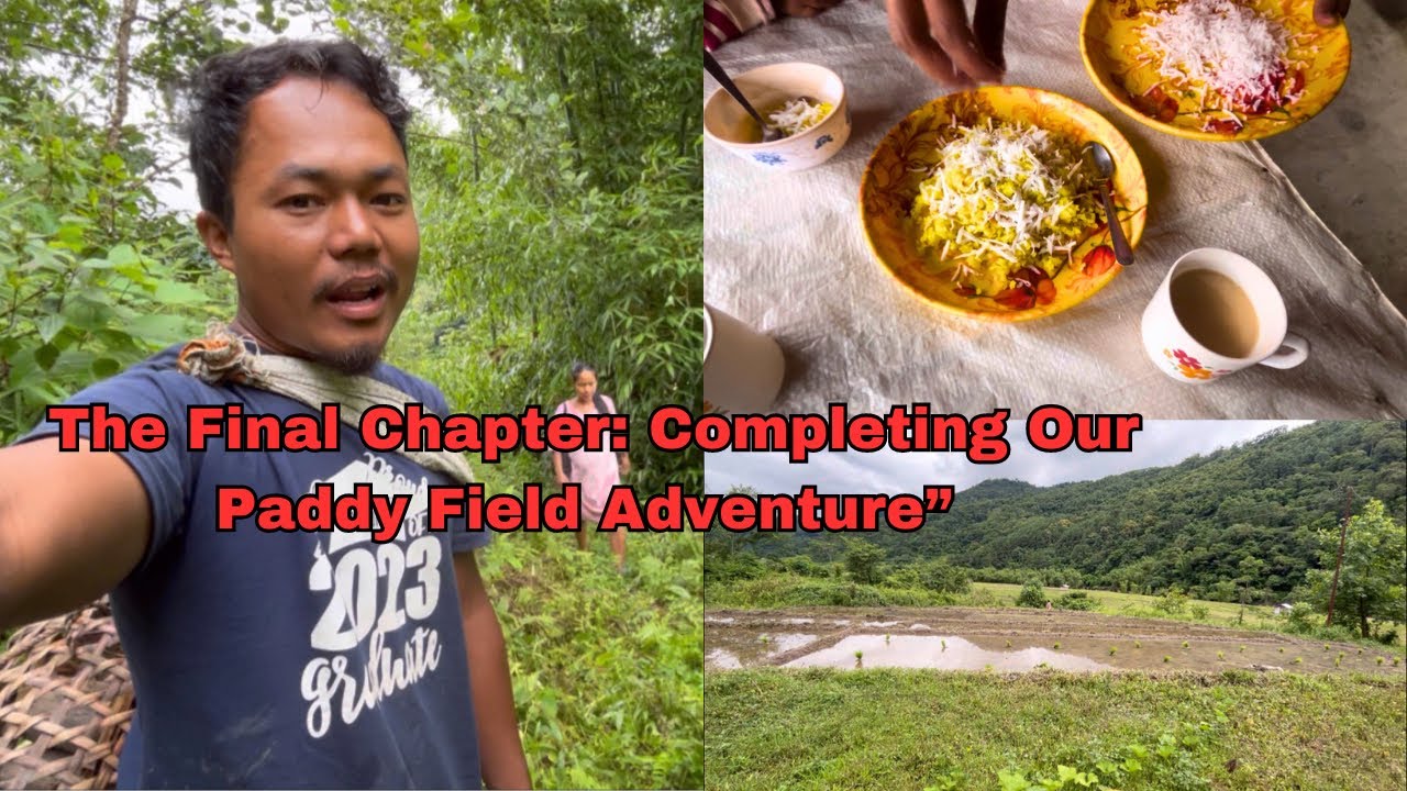 The Final Chapter: Completing Our Paddy Field Adventure - YouTube