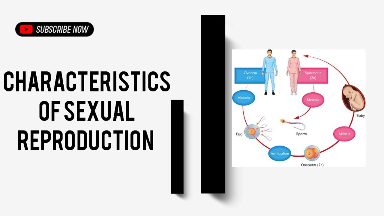 characteristics of sexual reproduction | about sexual reproduction ...