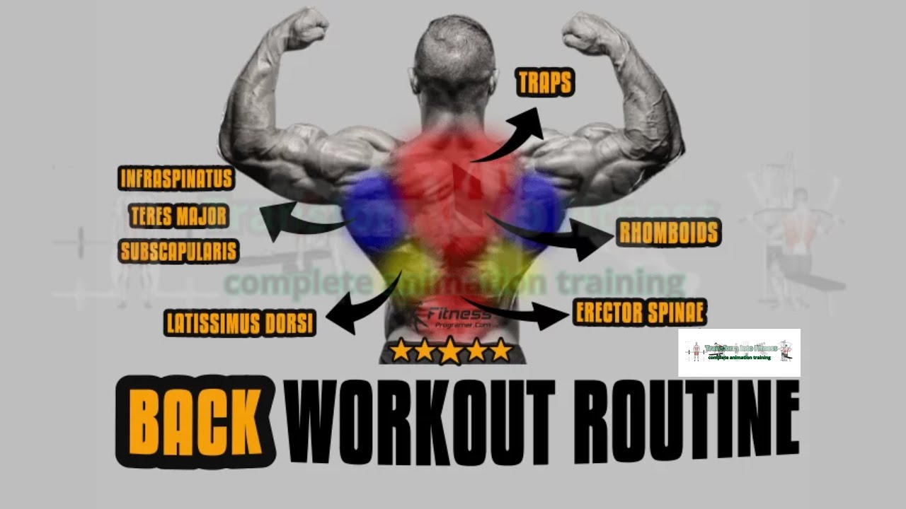Back Workout For a Bigger BackWorkout / Back-Wing / Intermediate / 45 ...