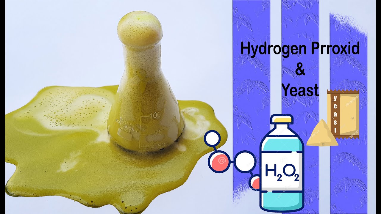 Experiment with Hydrogen Peroxide and Yeast - YouTube