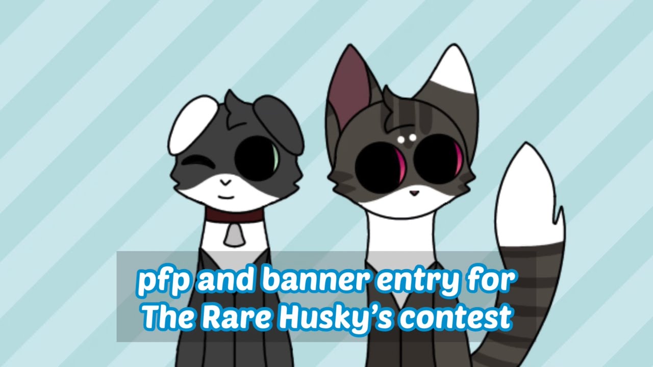 pfp and banner entry for @TheRareHusky ‘s contest - YouTube