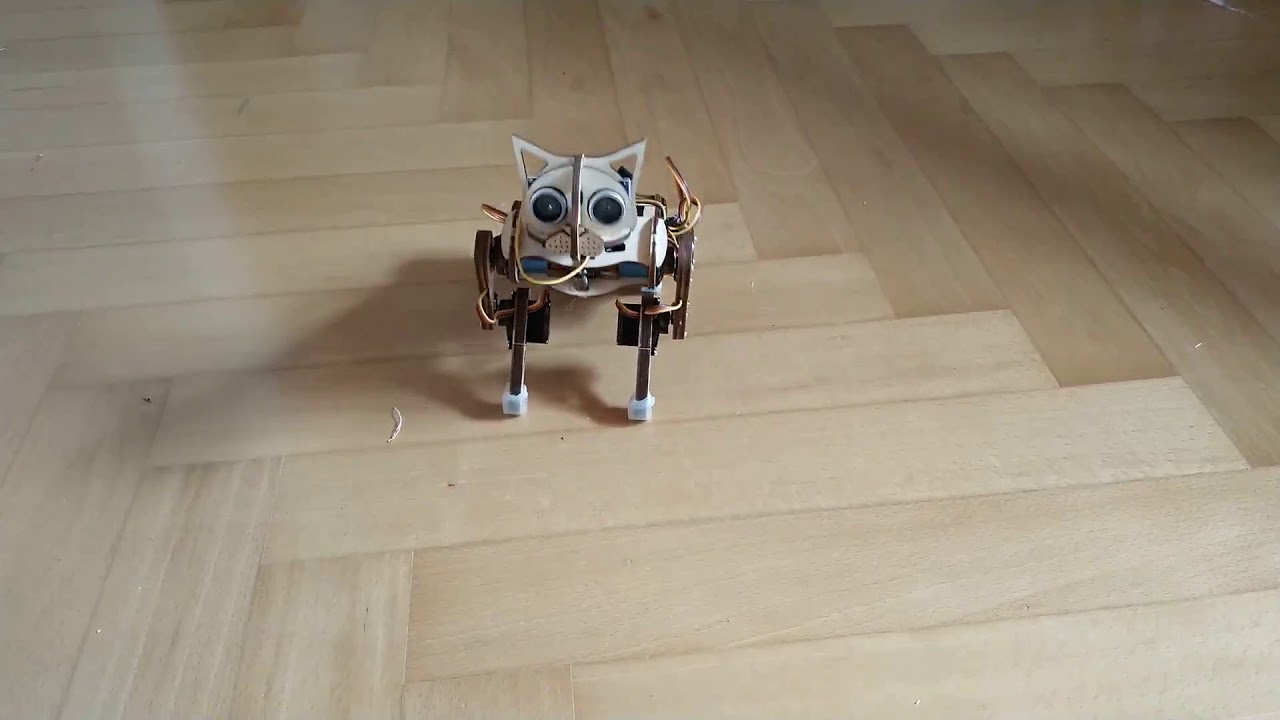 Petoi Nybble Robot Cat - YouTube