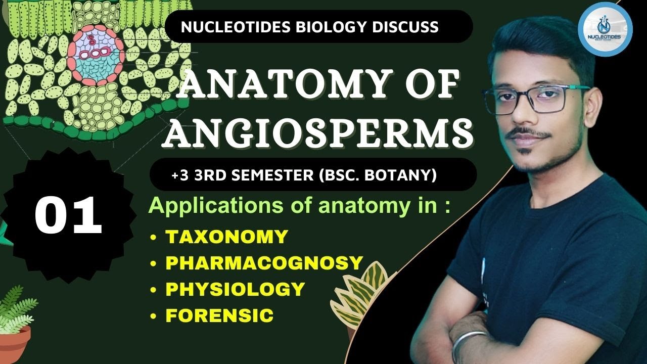 Anatomy of Angiosperms || Application in Taxonomy, Forensic ...