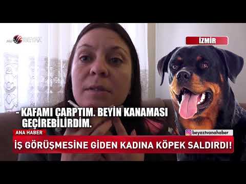 İŞ GÖRÜŞMESİNE GİDEN KADINA KÖPEK SADIRDI!
