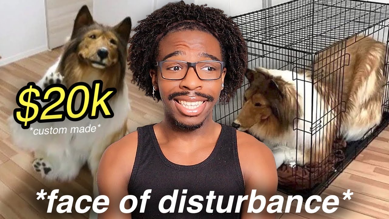 this man identifies himself as a human dog - YouTube