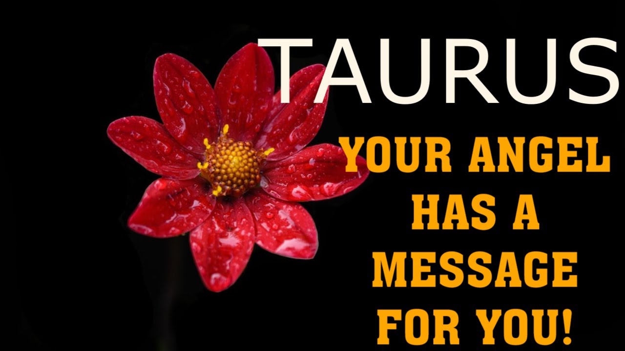 TAURUS, YOUR ANGEL HAS A MESSAGE FOR YOU! APRIL 16 - 21 2023 - YouTube