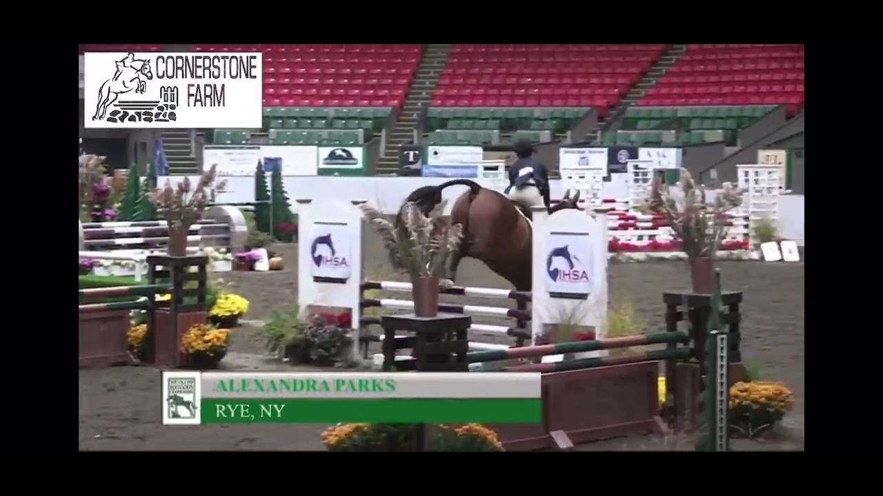 Alexandra Parks 3'3" Hunt seat finals round 1 2024 - YouTube