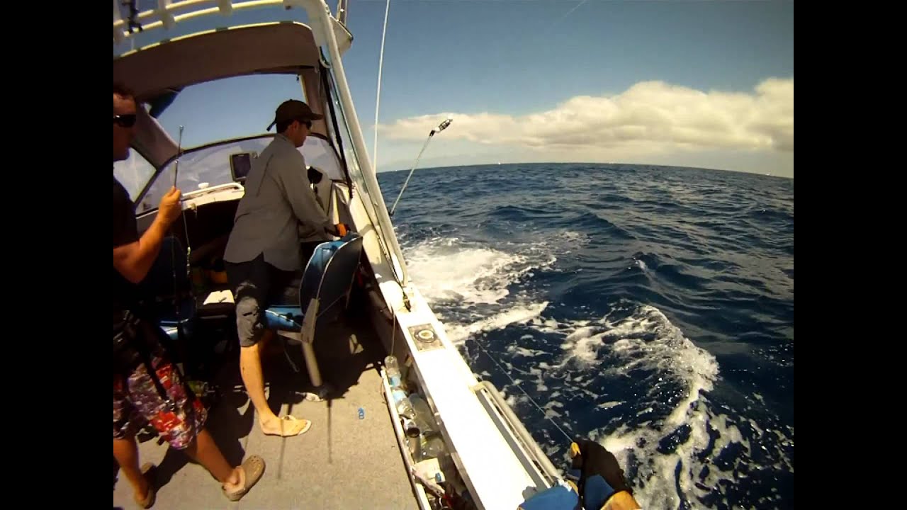 The Day of Day's - 10 Marlin in 1 day! - YouTube