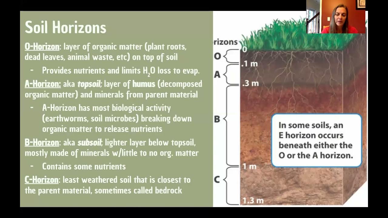 APES 4.2-3 Soil - YouTube